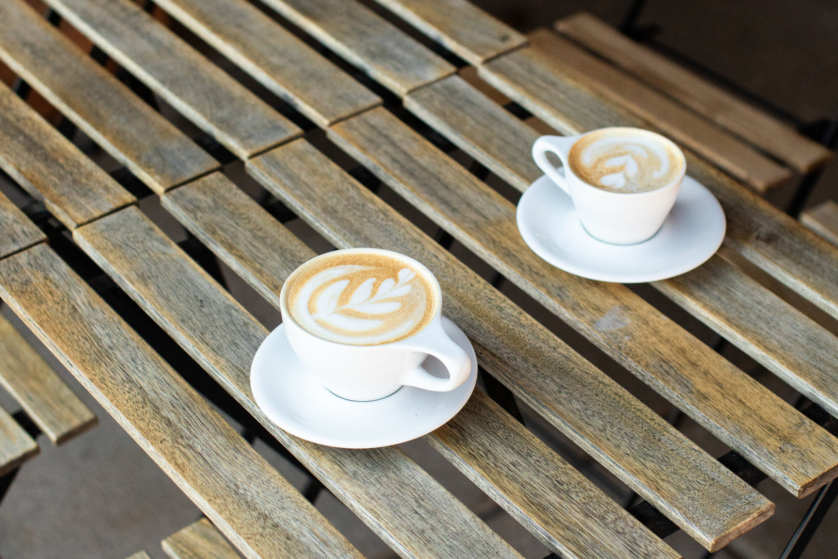 Aurora Local Craft Coffee Shop | Lost Coffee